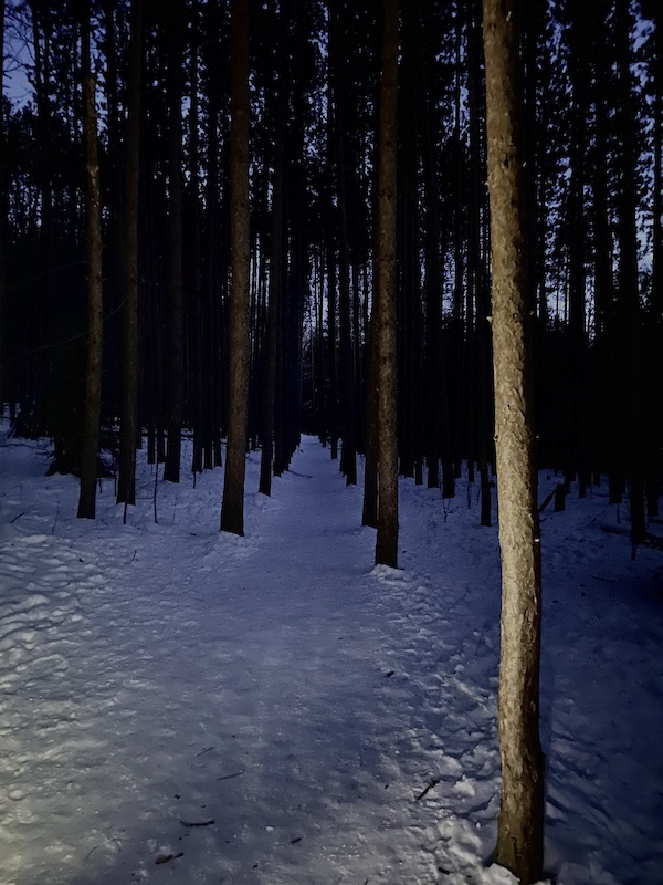 Simcoe County Forest - Dyer Tract, Barrie Mountain Biking Trails ...