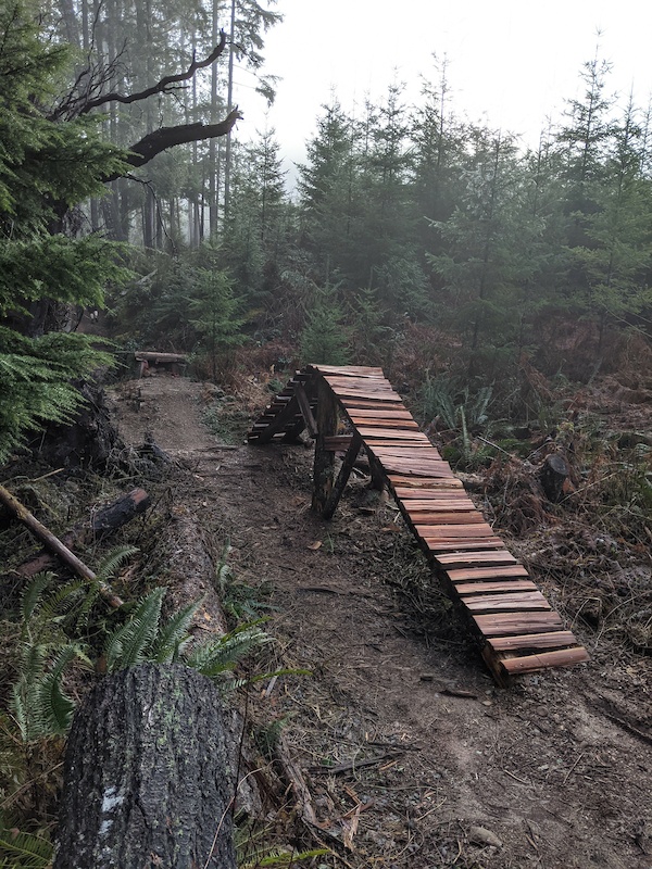 Goose Tracks Mountain Biking Trail - Port Alberni, BC