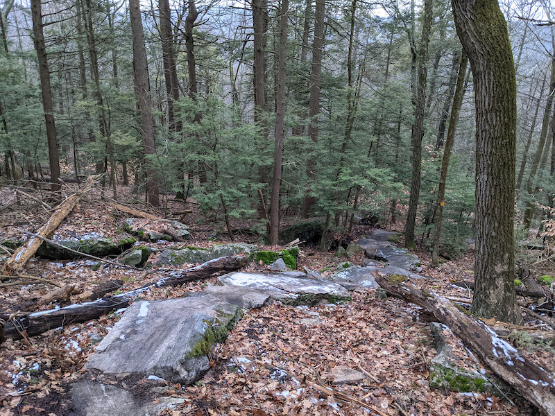 Paugnut State Forest, Torrington Mountain Biking Trails | Trailforks