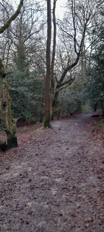 Step Down Line Mountain Biking Trail - Richmond upon Thames