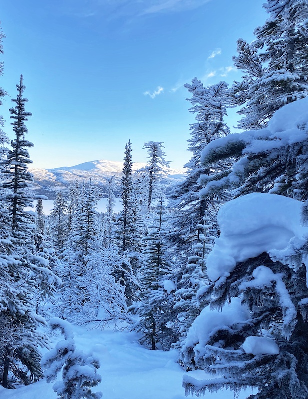 Fish Lake Trail Hiking Trail - Whitehorse, YT