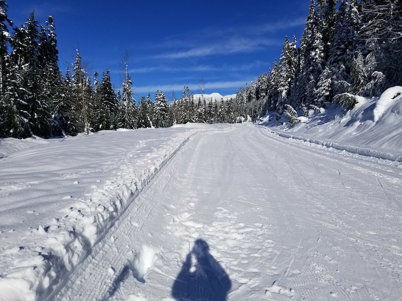 Callaghan Lake FSR - Mainline Multi Trail - Whistler