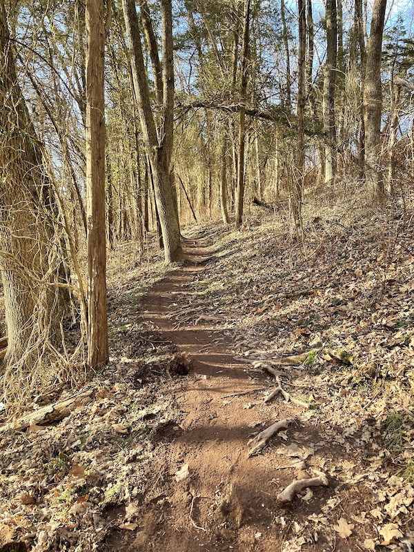 Green Lane Full Loop Mountain Biking Route | Trailforks