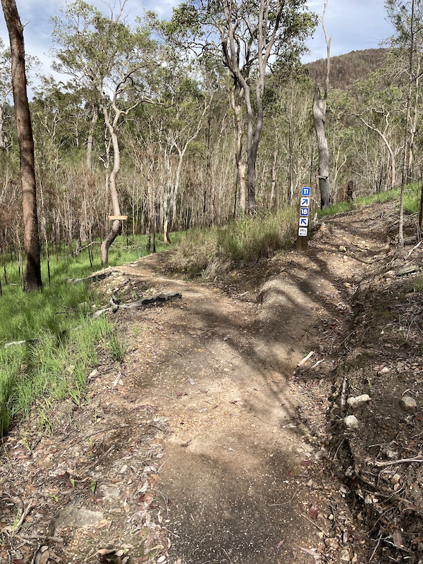 ELEV8XCM Race Course Mountain Biking Route | Trailforks