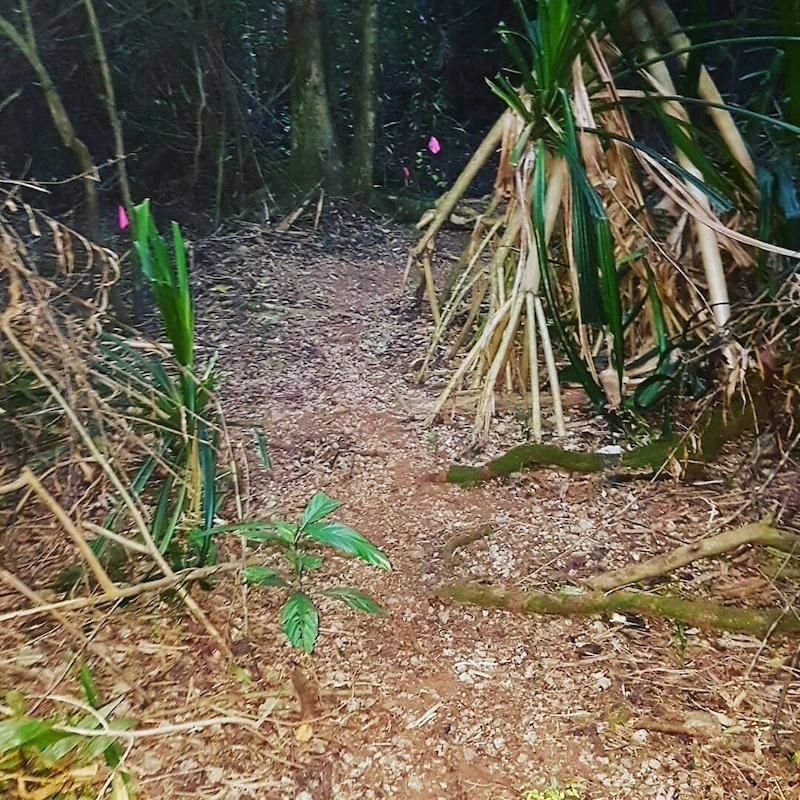 Fam Flo Mountain Biking Trail - Guam, AP | Trailforks