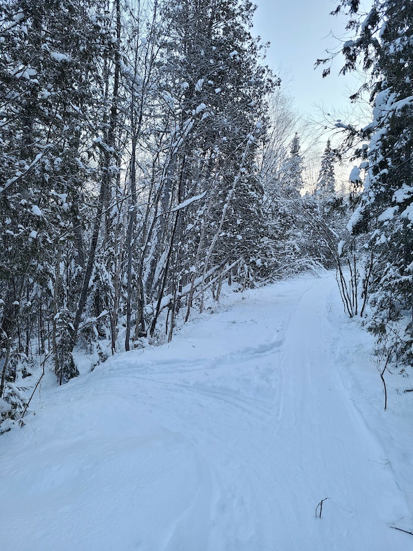 Le Dam Castor Mountain Biking Trail - Bathurst, NB