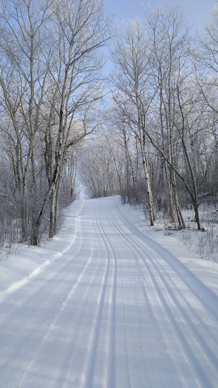 Jabe Lake North Trail Nordic Skiing Trail - Moosomin