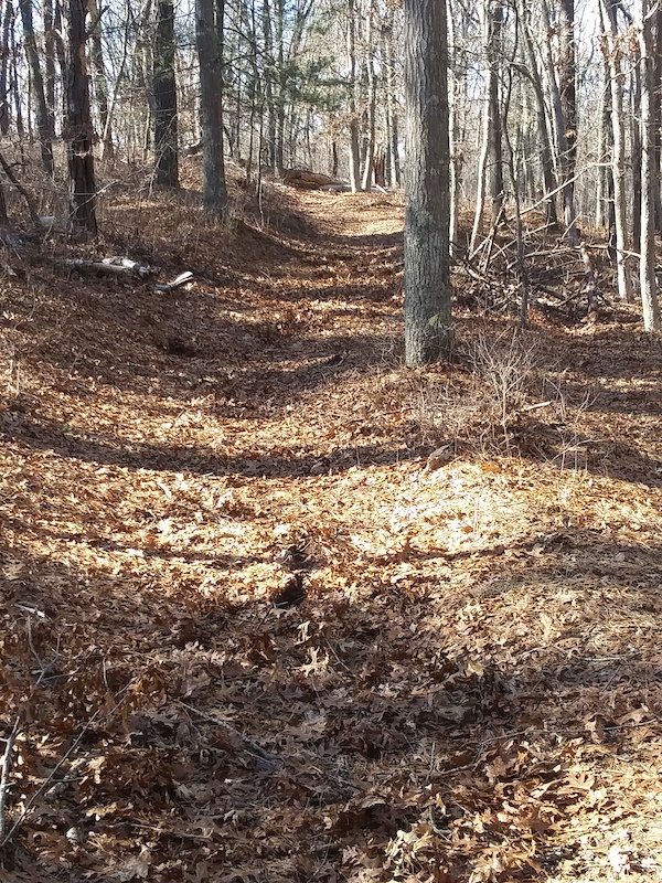 Ray Corwin Trail Multi Trail - Yaphank, NY | Trailforks