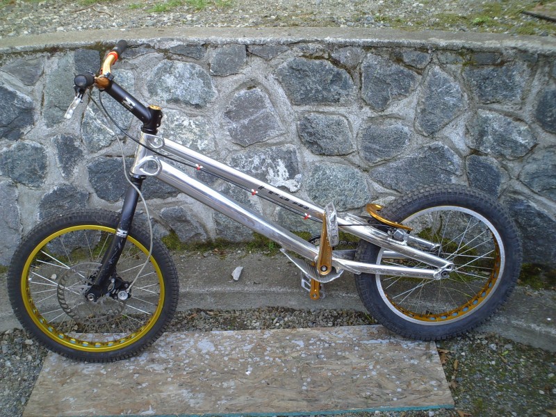 Echo Team Trials Bike For Sale