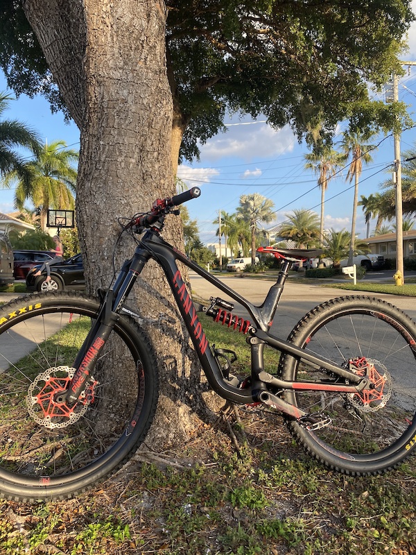 2019 Canyon Spectral For Sale