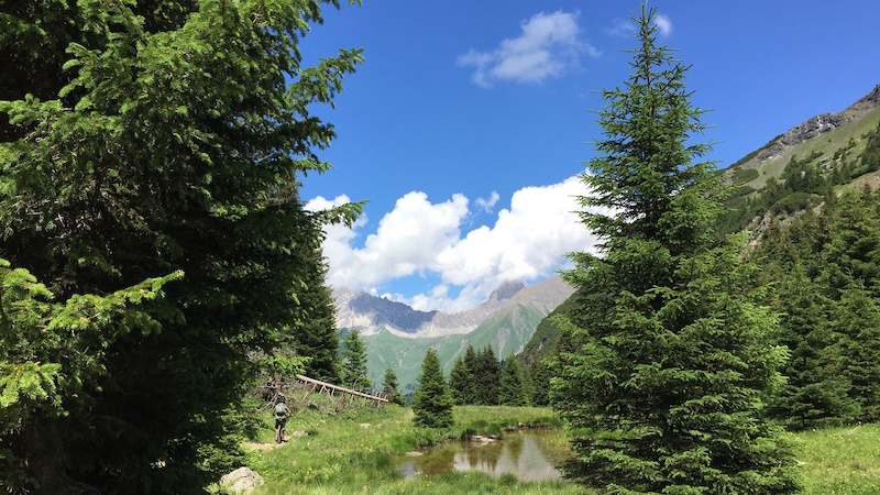 Abfahrt Alp Flix Multi Trail - Val Surses, Surses