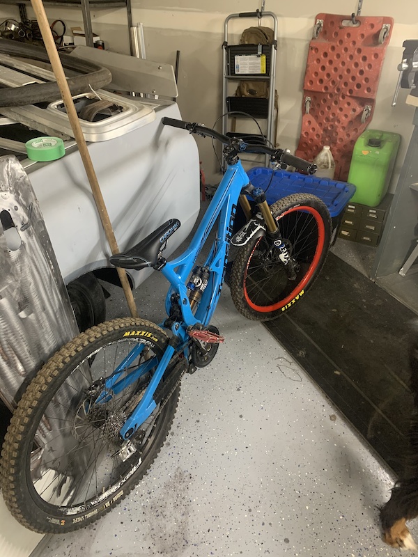 2014 Medium transition tr250 For Sale