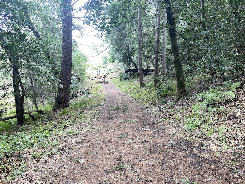 Chestnut Trail & Tree Farm Trail Mountain Biking Trail - Palo Alto, CA