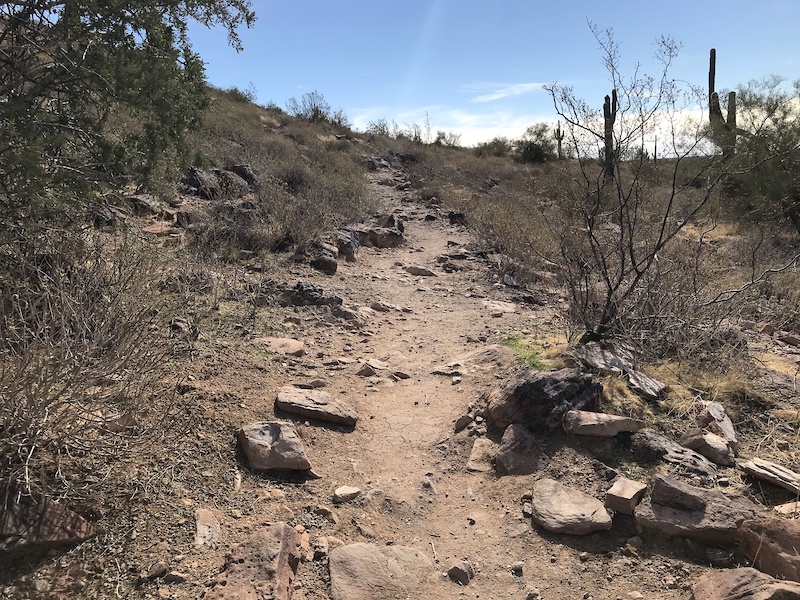 Old Mine Trail Multi Trail - Apache Junction, Arizona