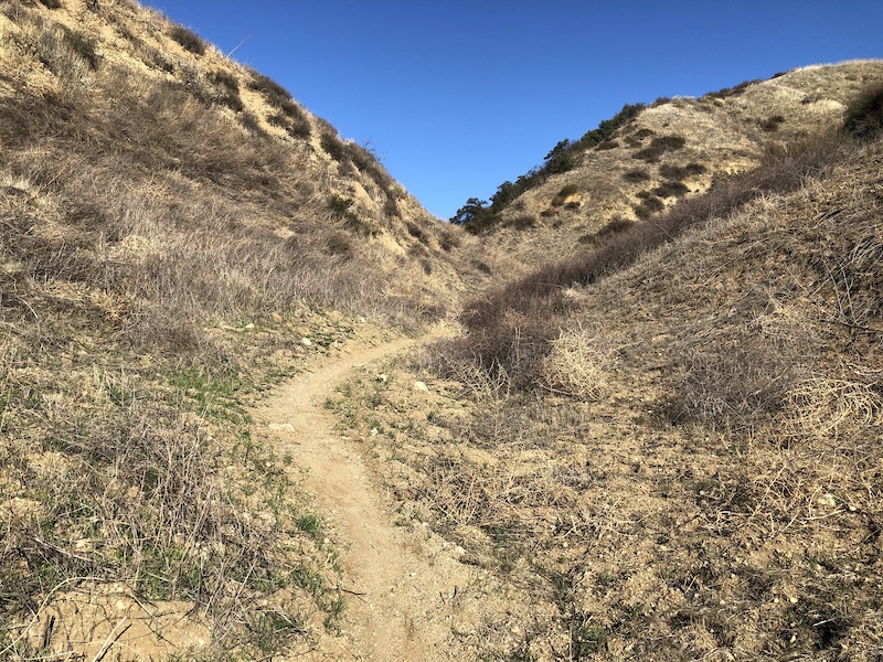 Teddy's Trail Mountain Biking Trail - Redlands, CA