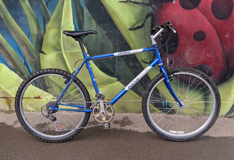 Ridgeback vintage mountain frame bike. Size medium. For Sale