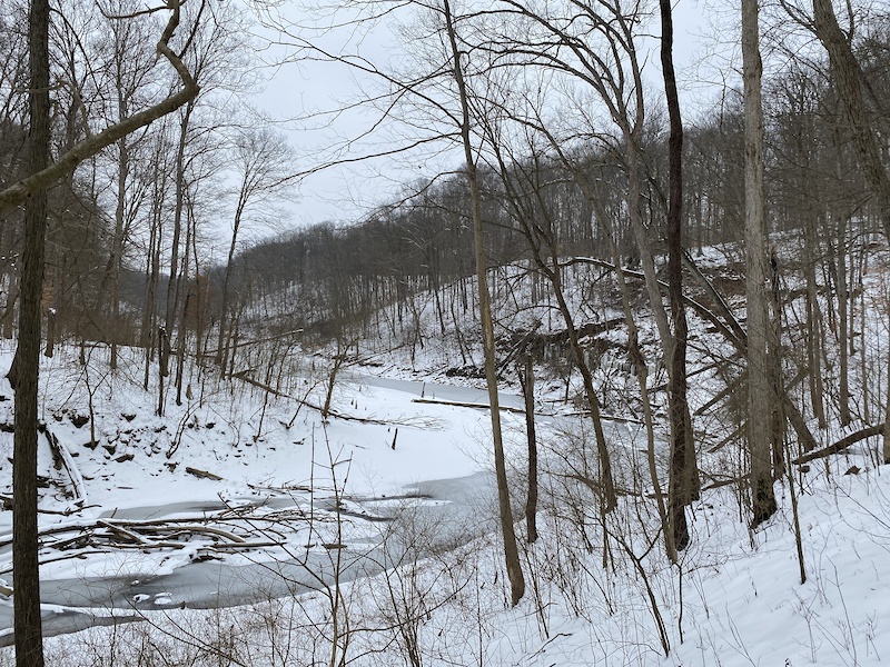 East Fork State Park Mountain Biking Trails | Trailforks