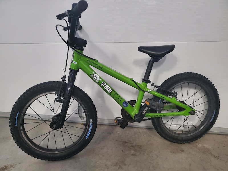 Spawn Banshee 16 For Sale