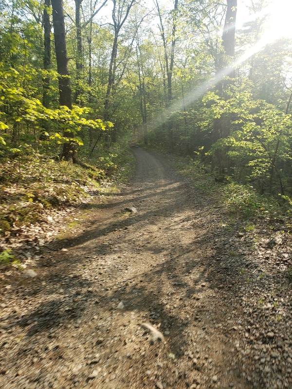 HP short kids ride, double track only Mountain Biking Route | Trailforks