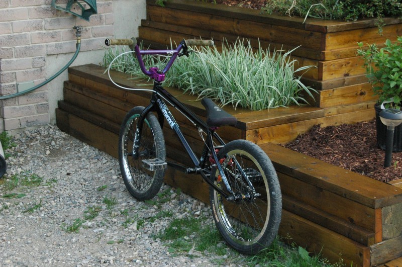 MACNEIL BIBI now 650 price drop For Sale