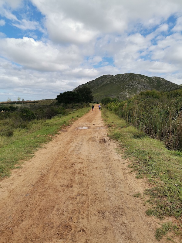 Van Stadens Dam Hike Hiking Trail - Thornhill