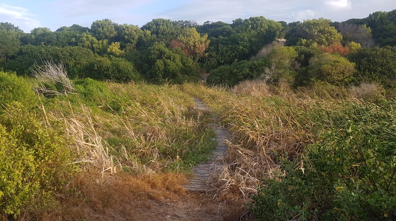 Bird Hide Trail Mountain Biking Trail - Port Elizabeth