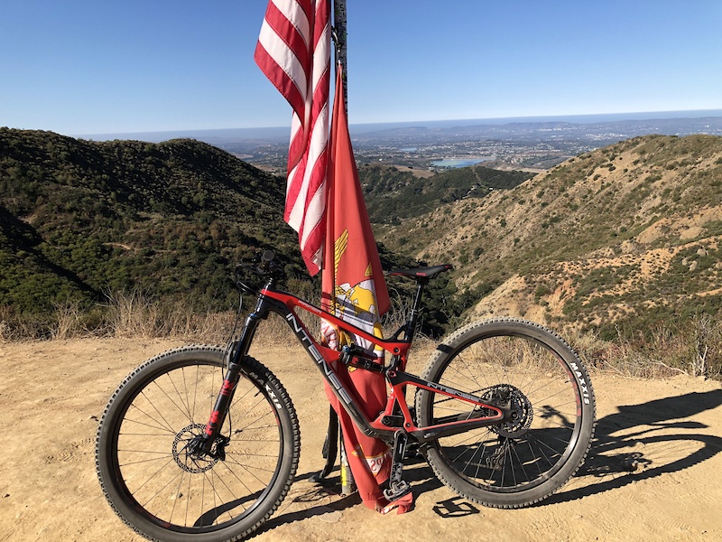 2020 Intense Expert Primer 29 Medium For Sale