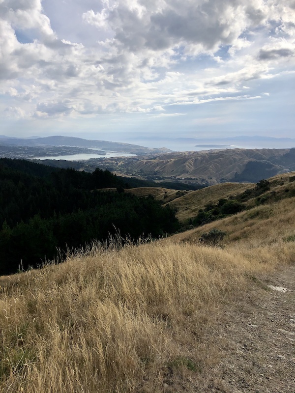 Battle Hill Mountain Biking Trails | Trailforks