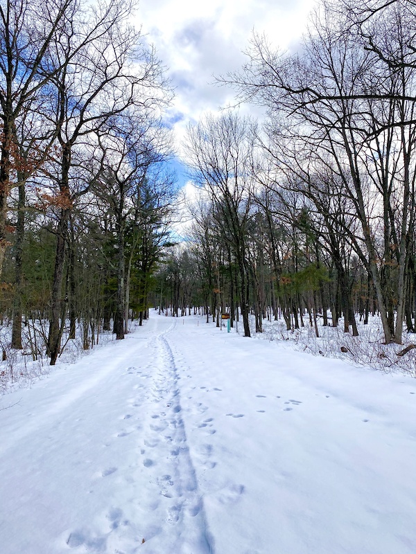 Lambton County Mountain Biking Trails | Trailforks