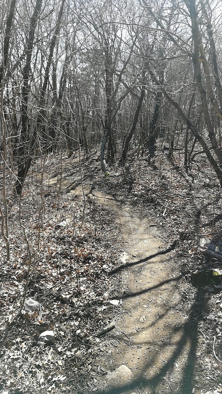 Wild Prasec Mountain Biking Trail - Trieste | Trailforks