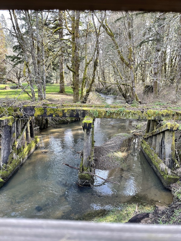 Banks - Vernonia State Trail Mountain Biking Trail - Portland