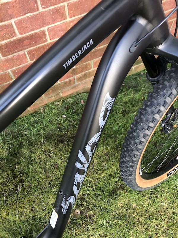 2020 Salsa Timberjack SS XL Singlespeed For Sale