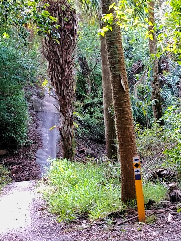 Alligator Alley Mountain Biking Trail - Fort Pierce