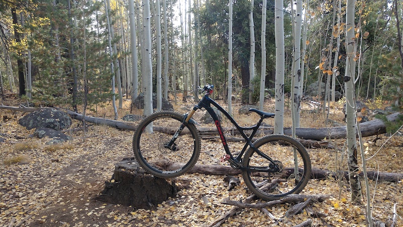 2018 XL Canfield Brothers EPO 29" For Sale