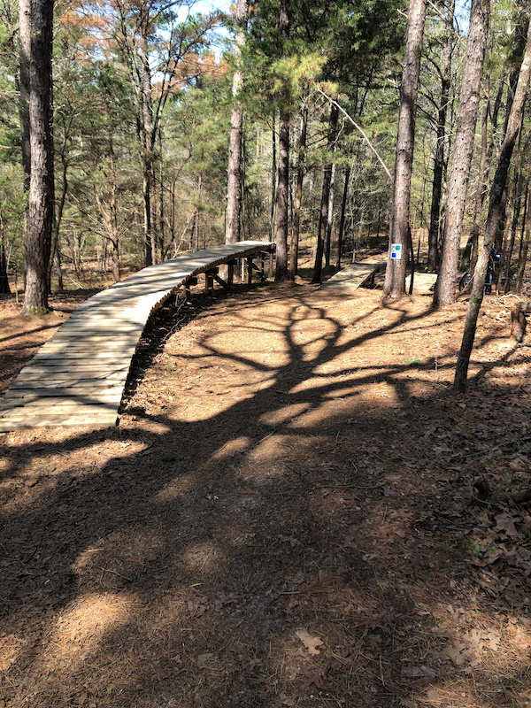 Section B Mountain Biking Trail - Tyler, Texas