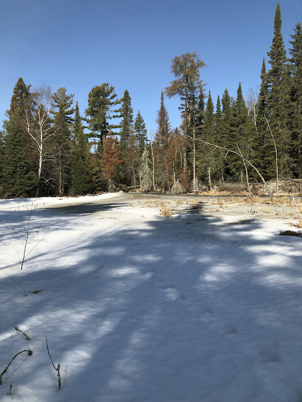 Boat Bay Trail Mountain Biking Trail - Falcon Lake
