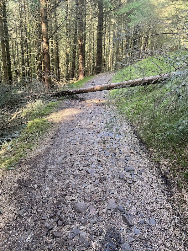Lead Mine Path Mountain Biking Trail - Innerleithen
