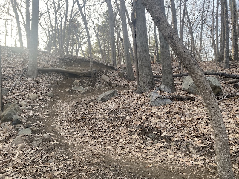 Lone Tree Hill Enduro Lap Mountain Biking Route | Trailforks