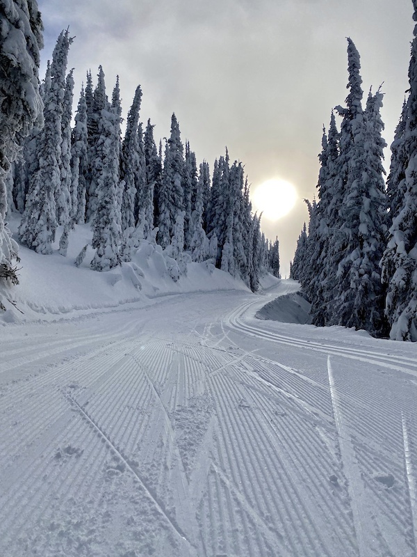 Aberdeen Skiing Trail - Vernon, British Columbia