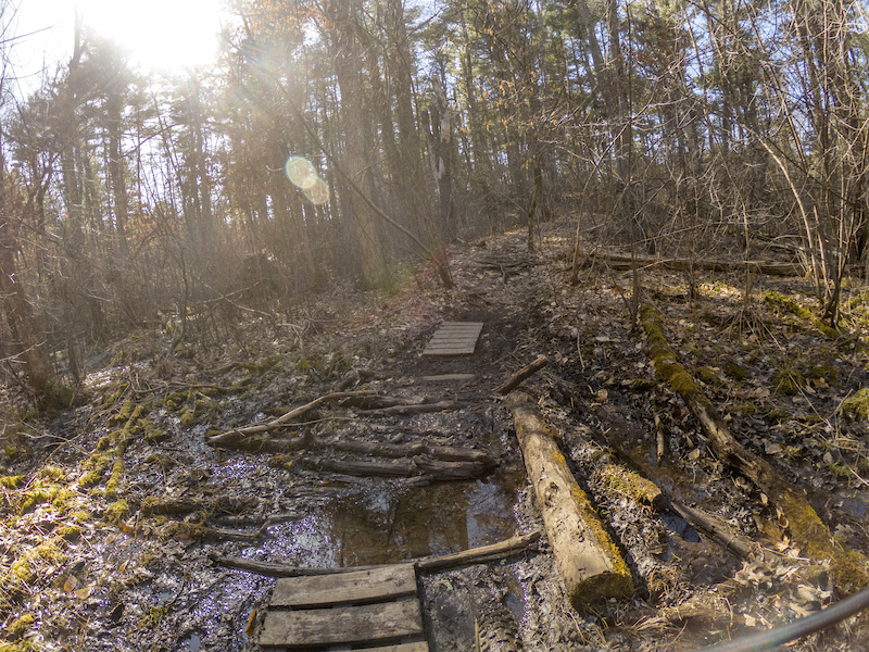 The Great Swamp Coaster Multi Trail - Ipswich, MA