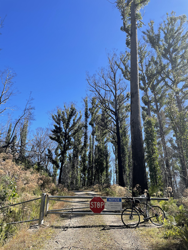 Tim Shea trail Multi Trail - South West Tasmania