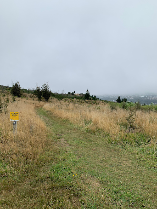 Telecom Track Multi Trail - Signal Hill, Dunedin