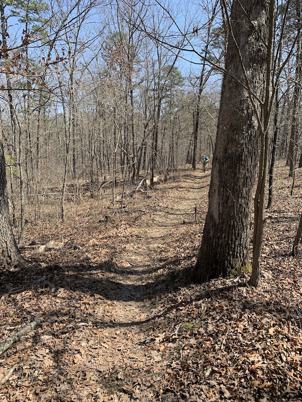 Berryman Trail | Trailforks