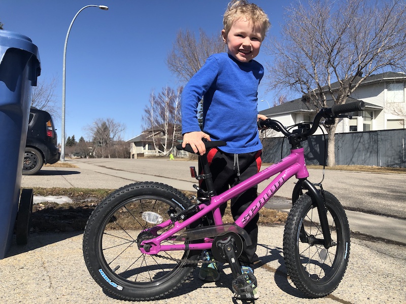 2019 Spawn Yogi 16” kids bike like new For Sale