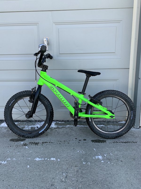 2019 Spawn Yogi 16" (2 seasons) Excellent! For Sale