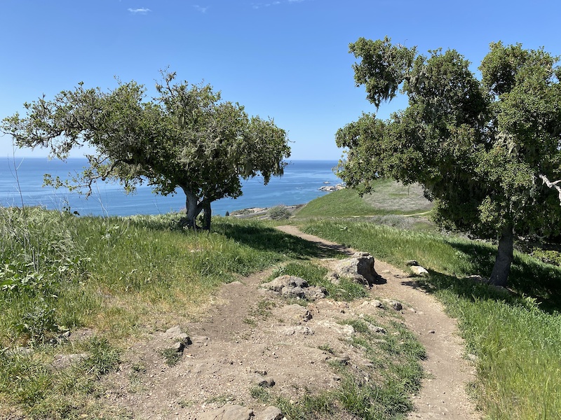 Lone Oak Loop Multi Trail - pismo beach, California
