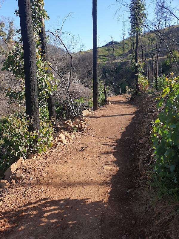 Tumut 3 Power Station Town Trail Mountain Biking Trail - Tumut