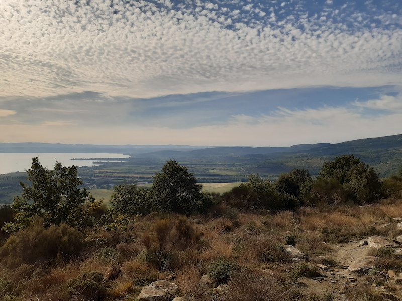 Bellalago Mountain Biking Trail - Passignano sul Trasimeno