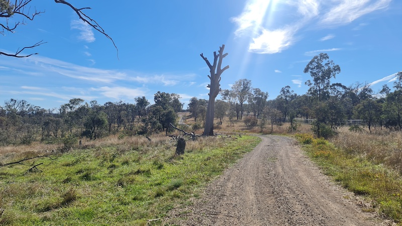 Canberra Centenary Trail | Trailforks