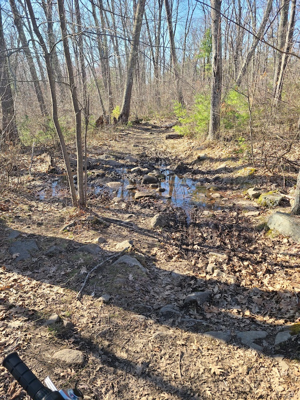 Apr 08, 2021 Holliston Highway Trail Report | Trailforks